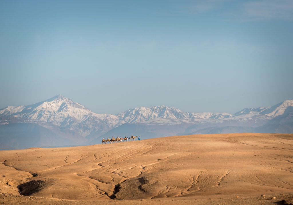 GET OUT OF MARRAKECH : Top 5 places to visit around Marrakech.